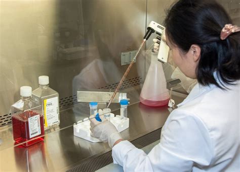 Infectious Diseases Equine Disease Communication Center