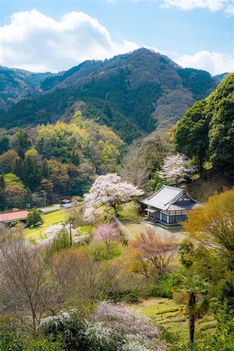 埼玉県寄居町 On Twitter シティプロモーション担当です。毎年慌ただしい3月ですが、風布ではゆったりとした時間が流れていました。桜