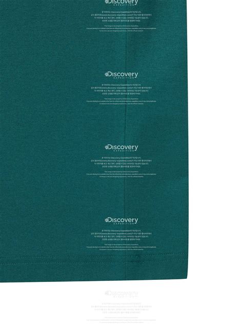 디스커버리 익스페디션 남성 에센셜 기능성 티셔츠 Turquoise