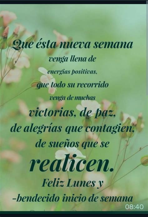 Pin De Daniel Zarantonelli En Feliz Inicio De Semana Frases Bonitas Abrazo De Buenos Dias
