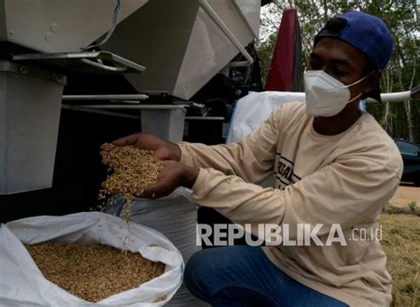 Jaga Ketahanan Pangan Sukabumi Perbanyak Lumbung Pangan Republika Online