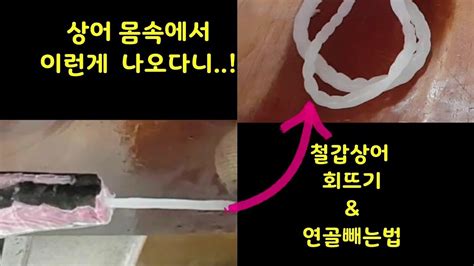 철갑상어 회뜨기 연골 빼는법 Youtube