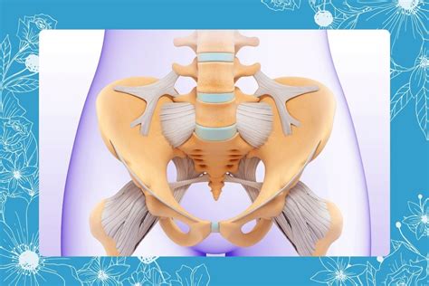 How To Tell If Your Pelvic Floor Is Tight Or Weak Key Signs