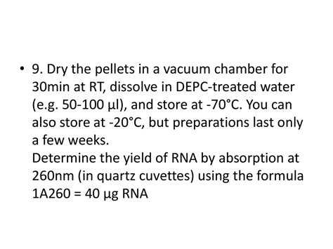 Halobacterium Salinarum презентация онлайн