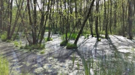 Parco Golfo Della Quassa Upel Italia