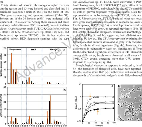 Growth And Cell Morphology Of Rhodococcus Sp Strain Tut3051 At Download Scientific Diagram