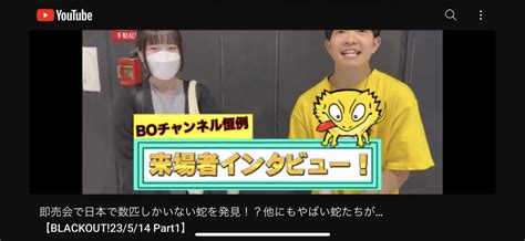 ぜろまるペッツ 6月18日bo横浜出現予定！ On Twitter Rt Lovereptils ぜろまるペッツさん Black