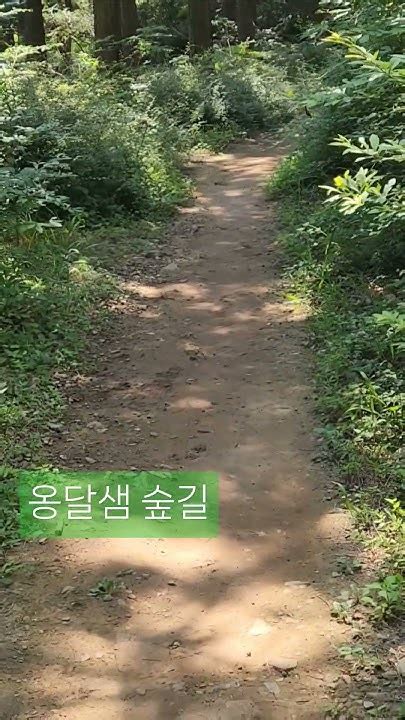맨발 걷기 좋은길 거제시 공설 운동장 434봉15km 계룡산05km 가는길 중산간에 있어요 Youtube