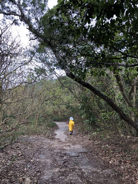 親近高雄大自然北壽山北柴山散步行路線分享 Mobile01