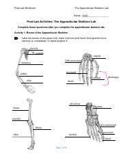 Post Lab Appendicular Skeleton Pdf Post Lab Workbook The Appendicular Skeleton Lab Gaby Name