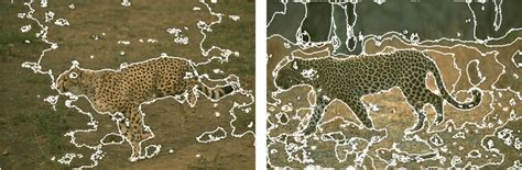 Initial Segmentation Results Of Two Images With Complex Textures Download Scientific Diagram