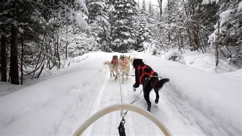 Que faire au Québec en Hiver Mes conseils de visites pour ton Voyage