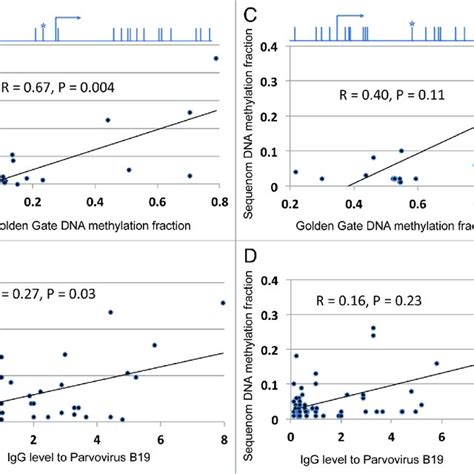 validation replication of dna methylation marks in two genes using