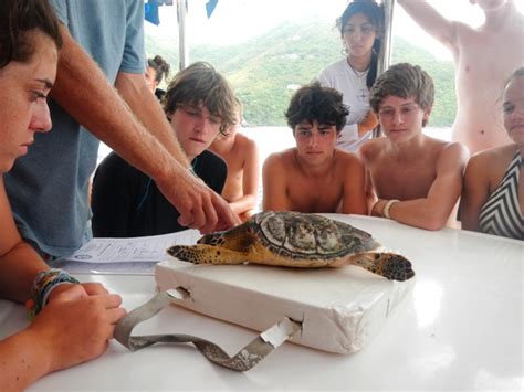 2012 Session 2 British Virgin Islands Mambo No 5 ActionQuest