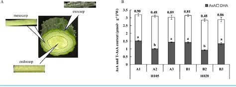 Figure 1 From Comparative Transcriptome Analysis Of Cucumber Fruit Tissues Reveals Novel