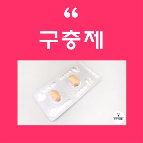구충제 종류 10가지 회충약 기생충약 효과 복용법 부작용 알벤다졸 독시사이클린 복용시기 가격 네이버 블로그