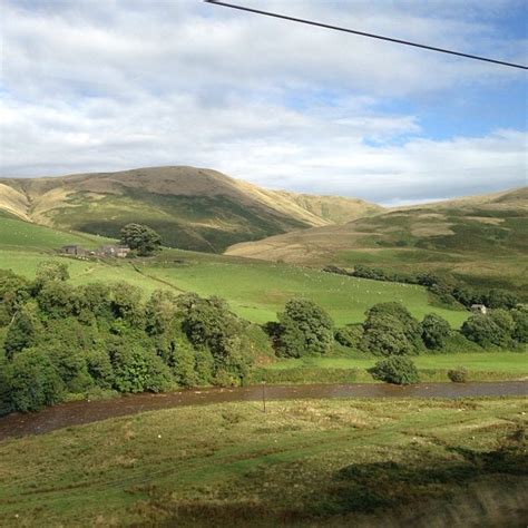 Beetham Nurseries 4 Tips