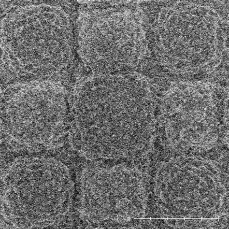 Detection Pattern Project Object Detection Dataset By Tai Md