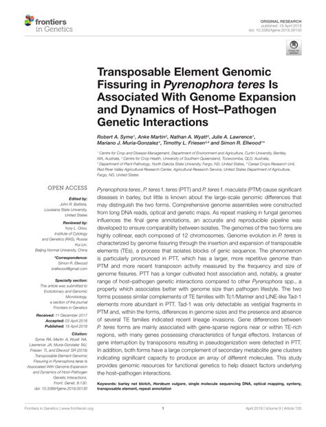 PDF Transposable Element Genomic Fissuring In Pyrenophora Teres Is