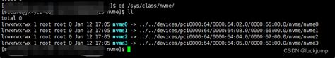 linux服务器修改磁盘numa node的方法 numa磁盘 CSDN博客