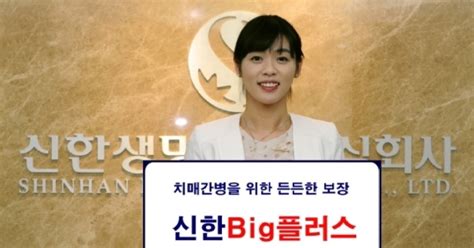 신한생명 신한big플러스실버보험 출시