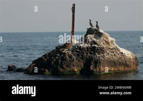 Offshore Structures Stock Videos And Footage Hd And 4k Video Clips Alamy