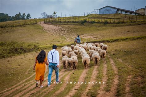 Pre Wedding Shoot Kodaikanal Irich Photography