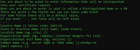 Fixing Synology ‘untrusted Certificate — Min Max Geek