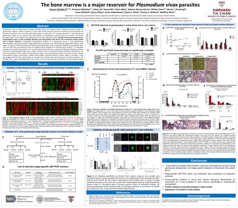 Pdf The Bone Marrow Is A Major Reservoir For Plasmodium Vivax Parasites