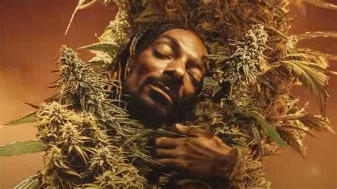 Snoop Dogg Drops ‘last Dance With Mary Jane Video Watch