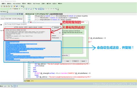Sqlprompt 激活使用sql Rpompt激活 Csdn博客