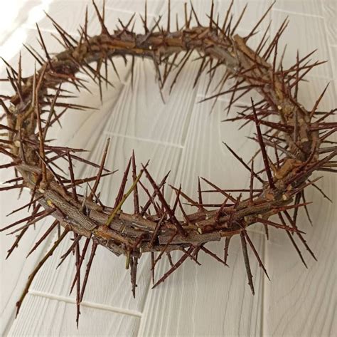 Sharp Real Thornjesus Christ Crownthorns Crown Home Decor Door Protection Christ Crown Of
