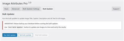 Copy Image Title To Image Alt Text In Bulk Image Attributes Pro