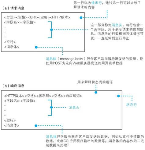 浏览器输入一个网址发生了什么一 封装消息和dns请求 阿沛it博客