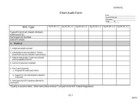 Chart Audit Template