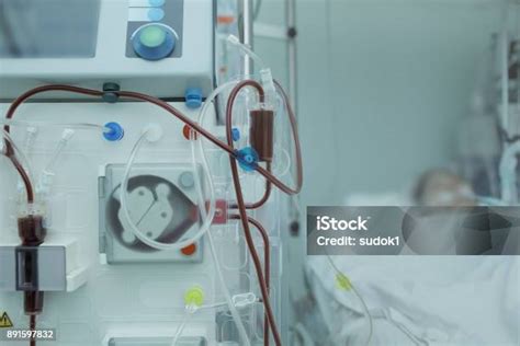 Alat Hemodialisis Terhubung Dengan Pasien Di Icu Foto Stok Unduh