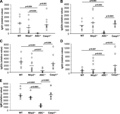 Defective Humoral Immune Response In Cii Immunized Asc Knock Out Mice