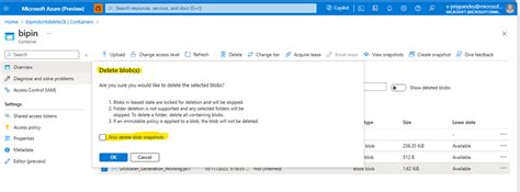 Storage Explorer UI Does Not Provide A Way To Specify Include