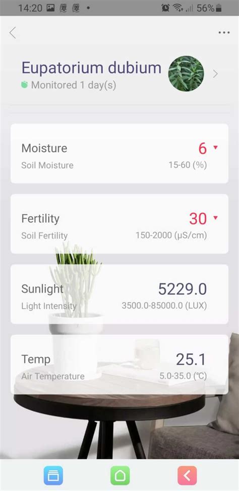 Venta de Flower Care Smart Monitor Xiaomi
