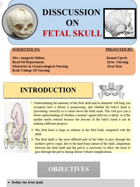 Fetal Skull Ppt By Komal Upreti Pdf Skull Anatomy Fetal Skull Ppt By Komal Upreti Pdf Skull Anatomy