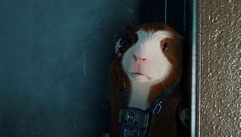 Star Nosed Mole G Force