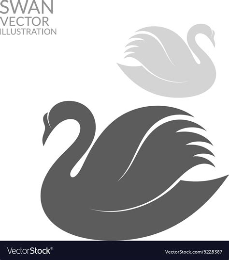 Swan Royalty Free Vector Image Vectorstock