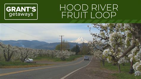 How To Spend A Day Exploring Oregons Fruit Loop In Hood River