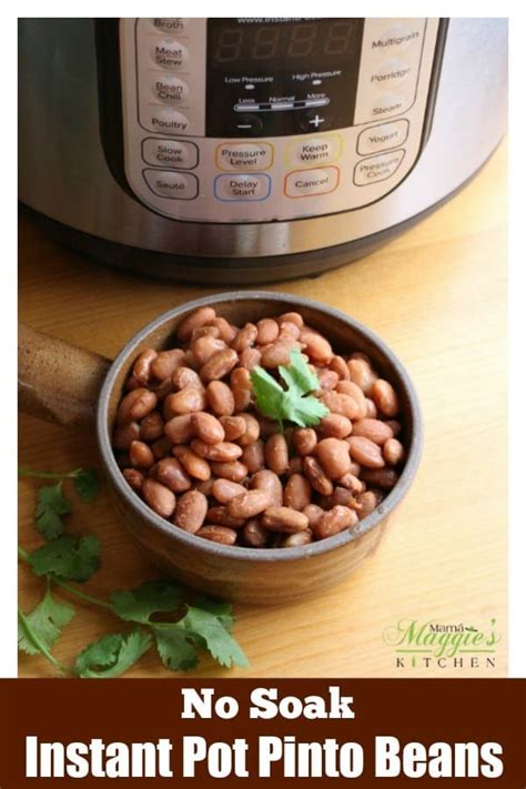 Instant Pot Pinto Beans No Soak