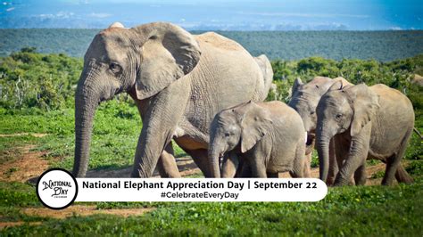 September 22, 2024, on the National Day Calendar® - National Day Calendar