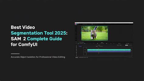 Best Video Segmentation Tool 2025 Apatero