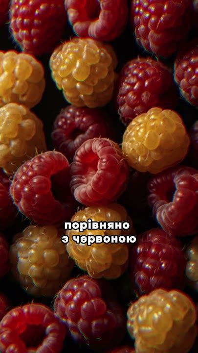 Цікавий факт про Малину #факти #facts #наука #малина - YouTube