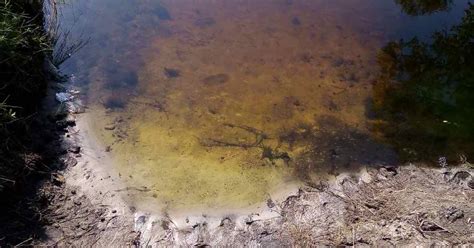 Практична робота 9 Характеристика одного з природних комплексів свої місцевості за алгоритмом