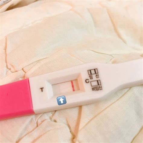 임테기 해봤는데 이건 한줄이야 두줄이야 인스티즈instiz 일상 카테고리