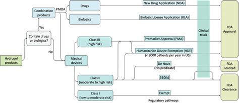 The Fda Regulatory Pathways Of Different Type Of Hydrogel Products Download Scientific Diagram